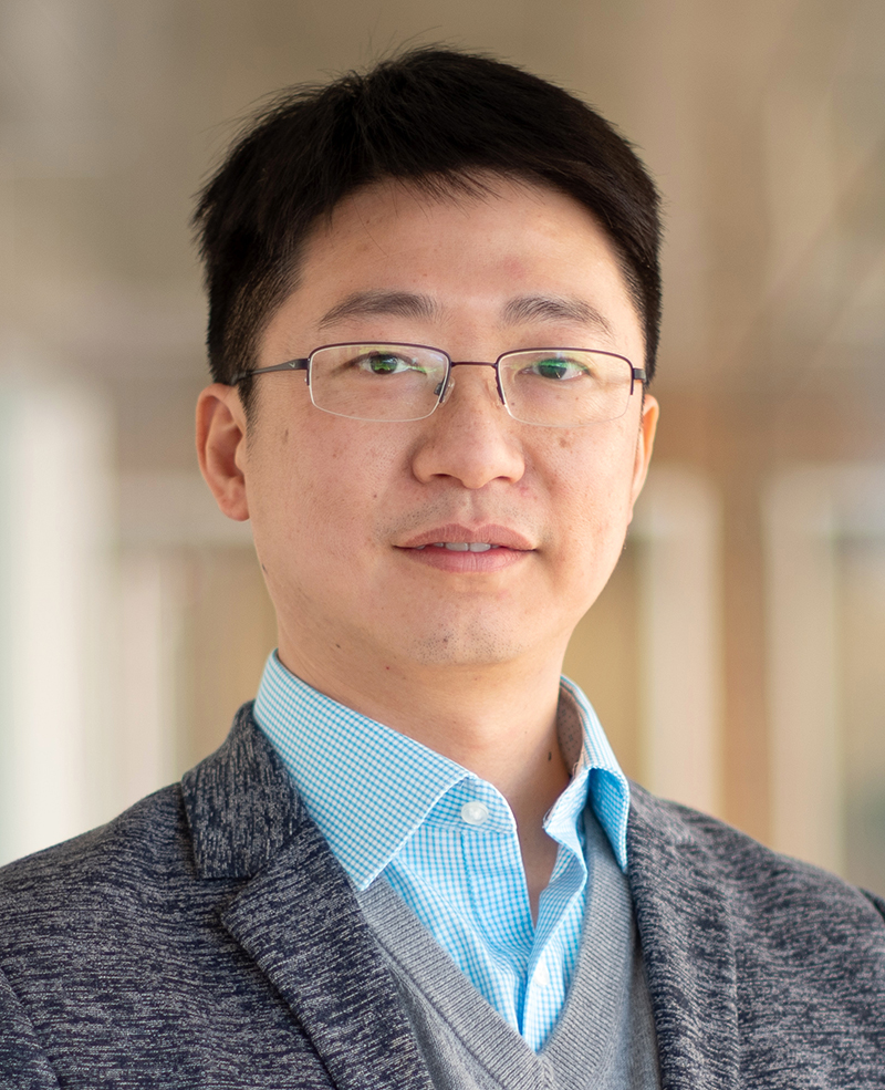 Lei Ying named IEEE Fellow for fundamental research in cloud computing ...