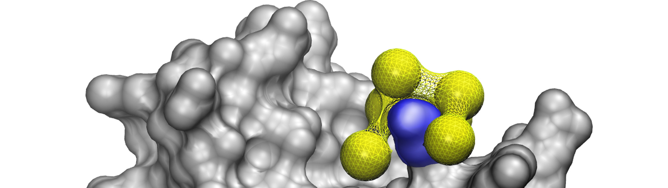 Nanobiotics: AI for discovering where and how nanoparticles bind with ...